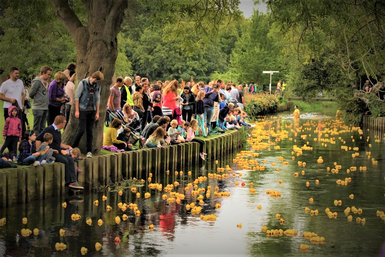 Duck race - Canterbury Bid