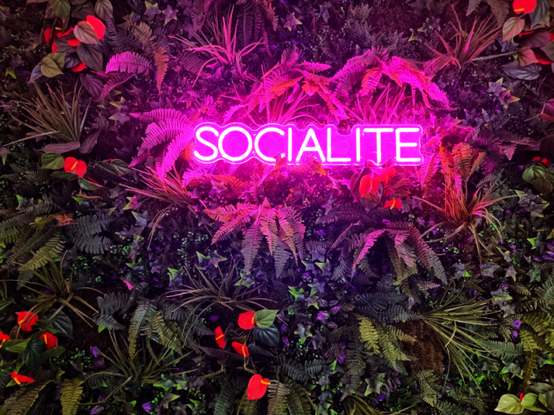 Socialite logo neon on greenery - Canterbury Bid